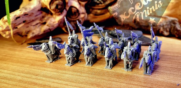 Warmaster High Elf Silver Helms Regiment | Excellent Miniatures